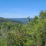 Foresthill Divide Loop, California - 1,142 Reviews, Map | AllTrails