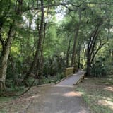 Lake Alice Conservation Area Trail, Florida - 13 Reviews, Map | AllTrails