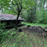 Lost Cove Trail, North Carolina - 212 Reviews, Map | AllTrails