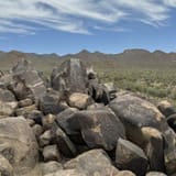 Signal Hill Trail, Arizona - 1,317 Reviews, Map | AllTrails