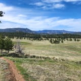 Hall Ranch Loop: Nighthawk to Bitterbrush, Colorado - 409 Reviews, Map ...
