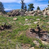 Hall Ranch Loop: Nighthawk to Bitterbrush, Colorado - 409 Reviews, Map ...