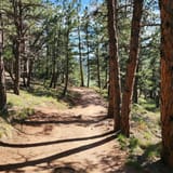 Hall Ranch Loop: Nighthawk to Bitterbrush, Colorado - 409 Reviews, Map ...