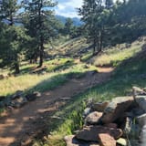 Hall Ranch Loop: Nighthawk to Bitterbrush, Colorado - 425 Reviews, Map ...