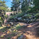 Hall Ranch Loop: Nighthawk to Bitterbrush, Colorado - 425 Reviews, Map ...
