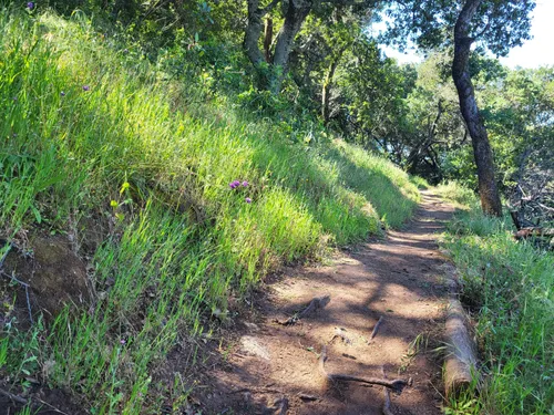 Best Walking Trails in Fairfield | AllTrails