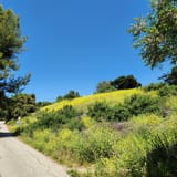 Puddingstone Reservoir Lake View and Park Trail Loop, California - 610 ...