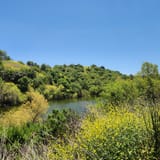 Puddingstone Reservoir Lake View and Park Trail Loop, California - 610 ...