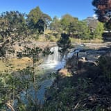 Waitangi to Haruru Falls Walk, Northland, New Zealand - 286 Reviews ...