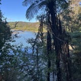 Waitangi to Haruru Falls Walk, Northland, New Zealand - 286 Reviews ...
