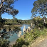 Waitangi to Haruru Falls Walk, Northland, New Zealand - 286 Reviews ...