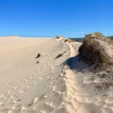 Pyramid Point Loop, Michigan - 1,063 Reviews, Map | AllTrails