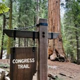 Congress Trail, California - 2,873 Reviews, Map | AllTrails