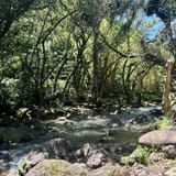 Waimea Valley Trail, Oahu, Hawaii - 1,683 Reviews, Map | AllTrails