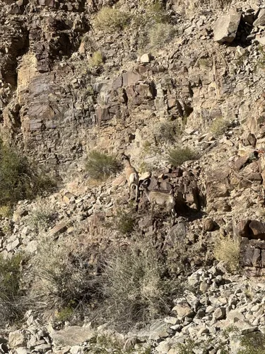 Best Historic Site Trails in Wellton | AllTrails