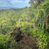 Manana Ridge Trail to Ko'olau Summit, Oahu, Hawaii - 172 Reviews, Map ...
