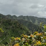 Manana Ridge Trail to Ko'olau Summit, Oahu, Hawaii - 172 Reviews, Map ...