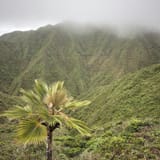 Manana Ridge Trail to Ko'olau Summit, Oahu, Hawaii - 172 Reviews, Map ...