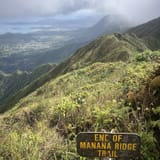 Manana Ridge Trail to Ko'olau Summit, Oahu, Hawaii - 172 Reviews, Map ...