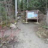 Lava Lake Trail, Montana - 2,985 Reviews, Map | AllTrails