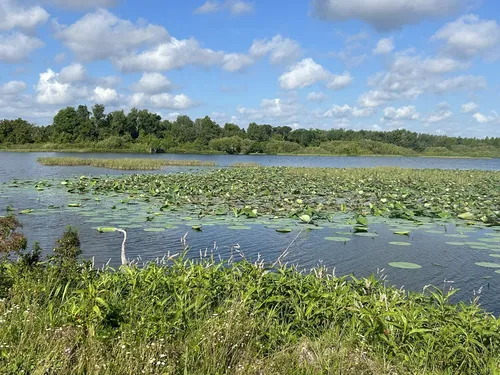 Best Easy Trails in Circle B Bar Preserve | AllTrails