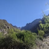 Pima Canyon Trail, Arizona - 3,248 Reviews, Map | AllTrails