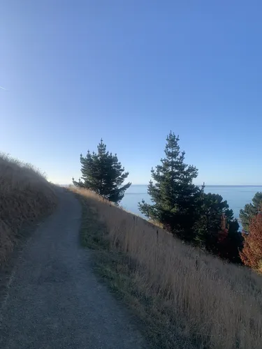 Best Historic Site Trails in Godley Head Farm Park Reserve | AllTrails