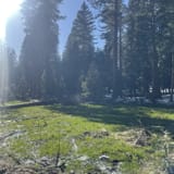 Viola Falls, California - 371 Reviews, Map | AllTrails