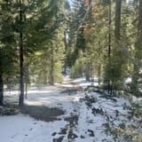 Viola Falls, California - 371 Reviews, Map | AllTrails