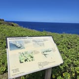 ʻŌhai Trail Loop, Maui, Hawaii - 844 Reviews, Map | AllTrails
