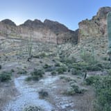 Picketpost Mountain Trail, Arizona - 2,402 Reviews, Map | AllTrails