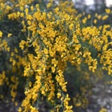 Potem Falls Trail, California - 320 Reviews, Map | AllTrails