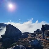 Main Range Walk, New South Wales, Australia - 903 Reviews, Map | AllTrails