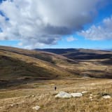 Main Range Walk, New South Wales, Australia - 903 Reviews, Map | AllTrails