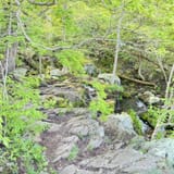 Lewis Spring Falls Trail, Virginia - 1,466 Reviews, Map | AllTrails