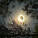 Severance Mountain, New York - 904 Reviews, Map | AllTrails