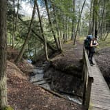 The Manistee River Loop Trail, Michigan - 2,069 Reviews, Map | AllTrails
