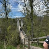 The Manistee River Loop Trail, Michigan - 2,069 Reviews, Map | AllTrails