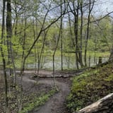 The Manistee River Loop Trail, Michigan - 2,069 Reviews, Map | AllTrails