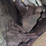 Mount Morgan and Mount Percival Loop, New Hampshire - 3,522 Reviews ...