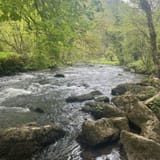 Chee Dale Gorge Circular, Derbyshire, England - 1,403 Reviews, Map ...
