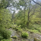 Chee Dale Gorge Circular, Derbyshire, England - 1,403 Reviews, Map ...