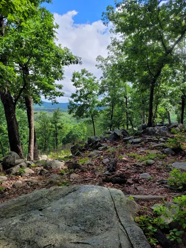 Best Lake Trails in Albemarle | AllTrails