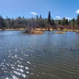Turtle Rock Loop Trail, Wyoming - 1,146 Reviews, Map | AllTrails
