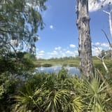 Apoxee and Owahee Trail Loop, Florida - 401 Reviews, Map | AllTrails