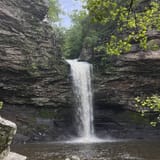 Cedar Falls Trail, Arkansas - 2,065 Reviews, Map | AllTrails