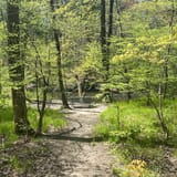Cook Conservation Area Loop, Massachusetts - 936 Reviews, Map | AllTrails