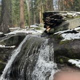 Congress Trail, California - 2,873 Reviews, Map | AllTrails