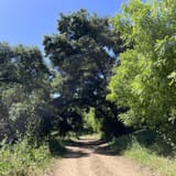 Powder Canyon Loop Trail, California - 2,376 Reviews, Map | AllTrails