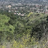 Powder Canyon Loop Trail, California - 2,376 Reviews, Map | AllTrails